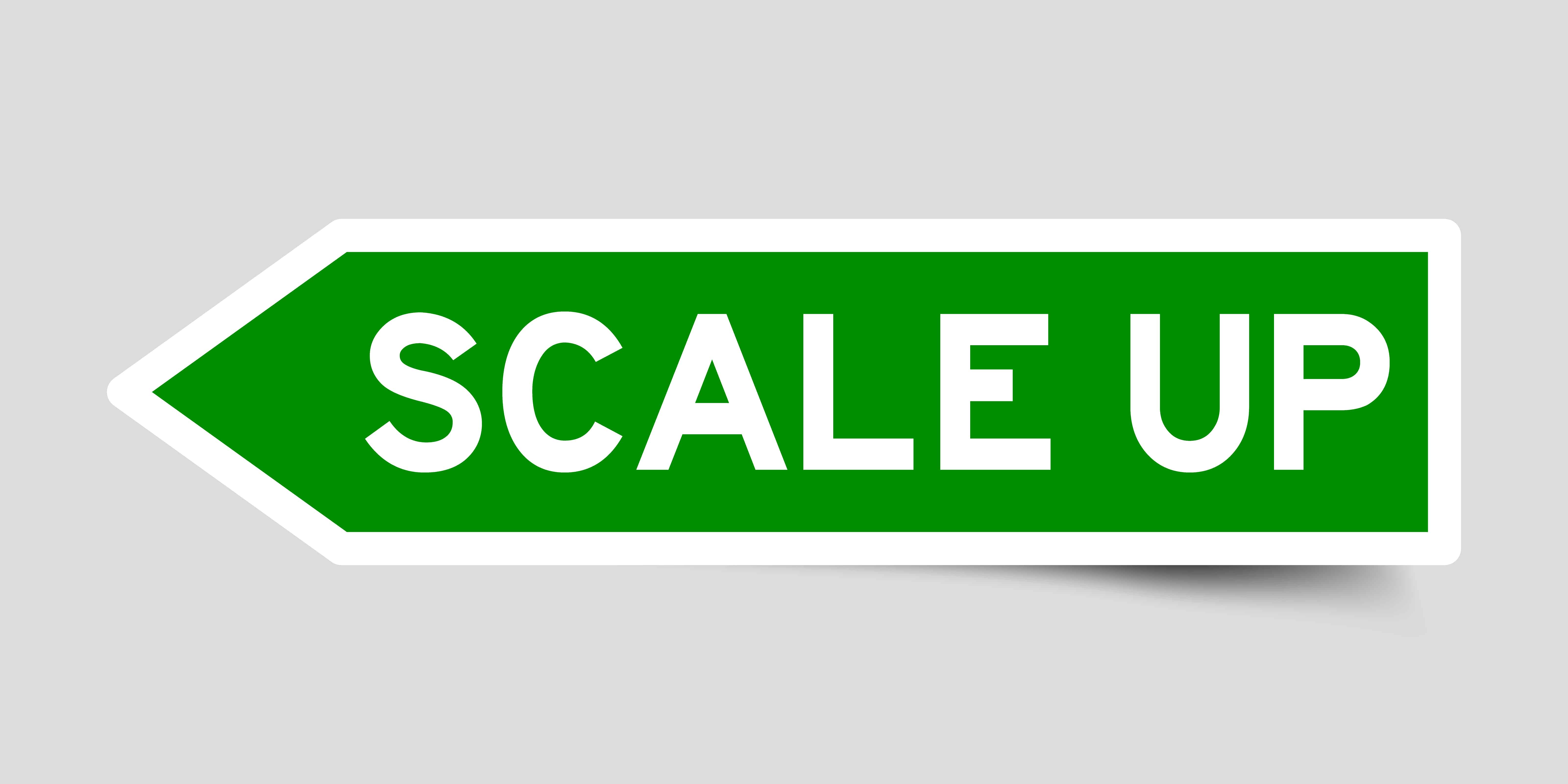 Eight reasons smart scale-up businesses use coaching - Coxen Consult ...